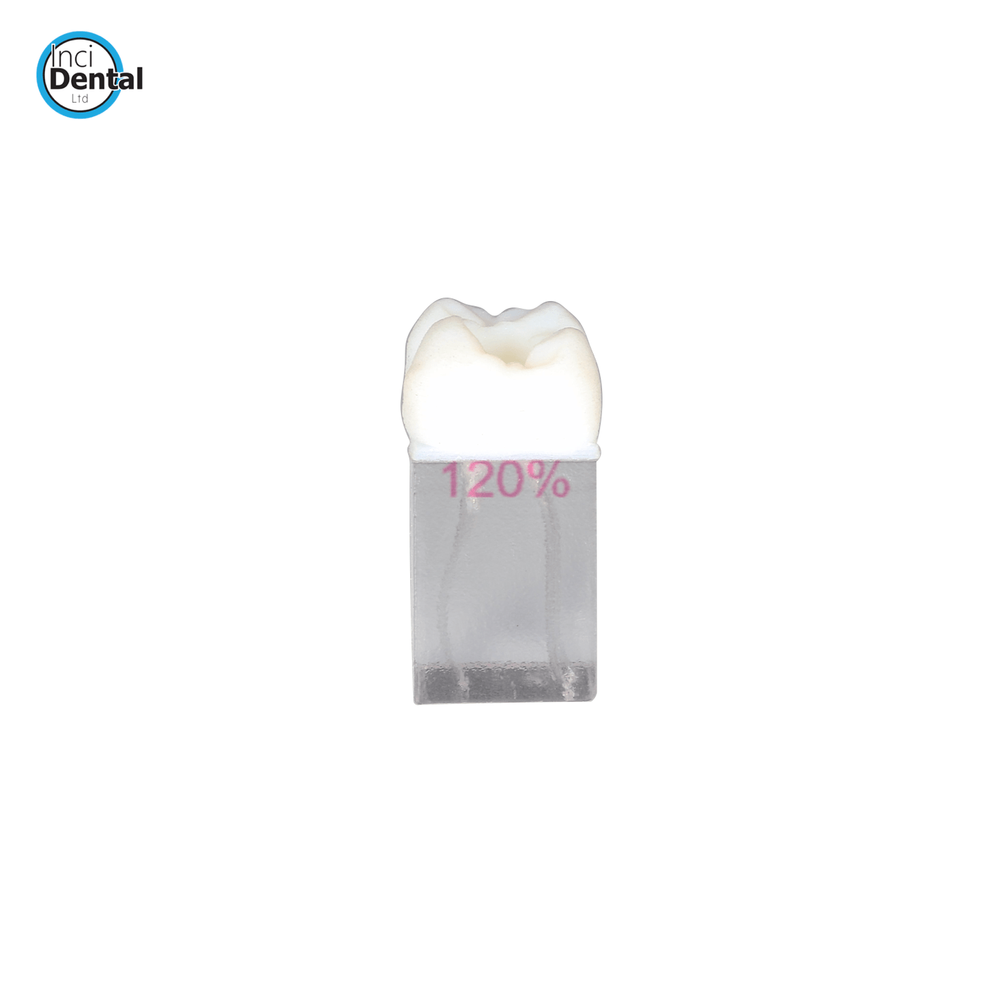 Incidental Endo Training Block