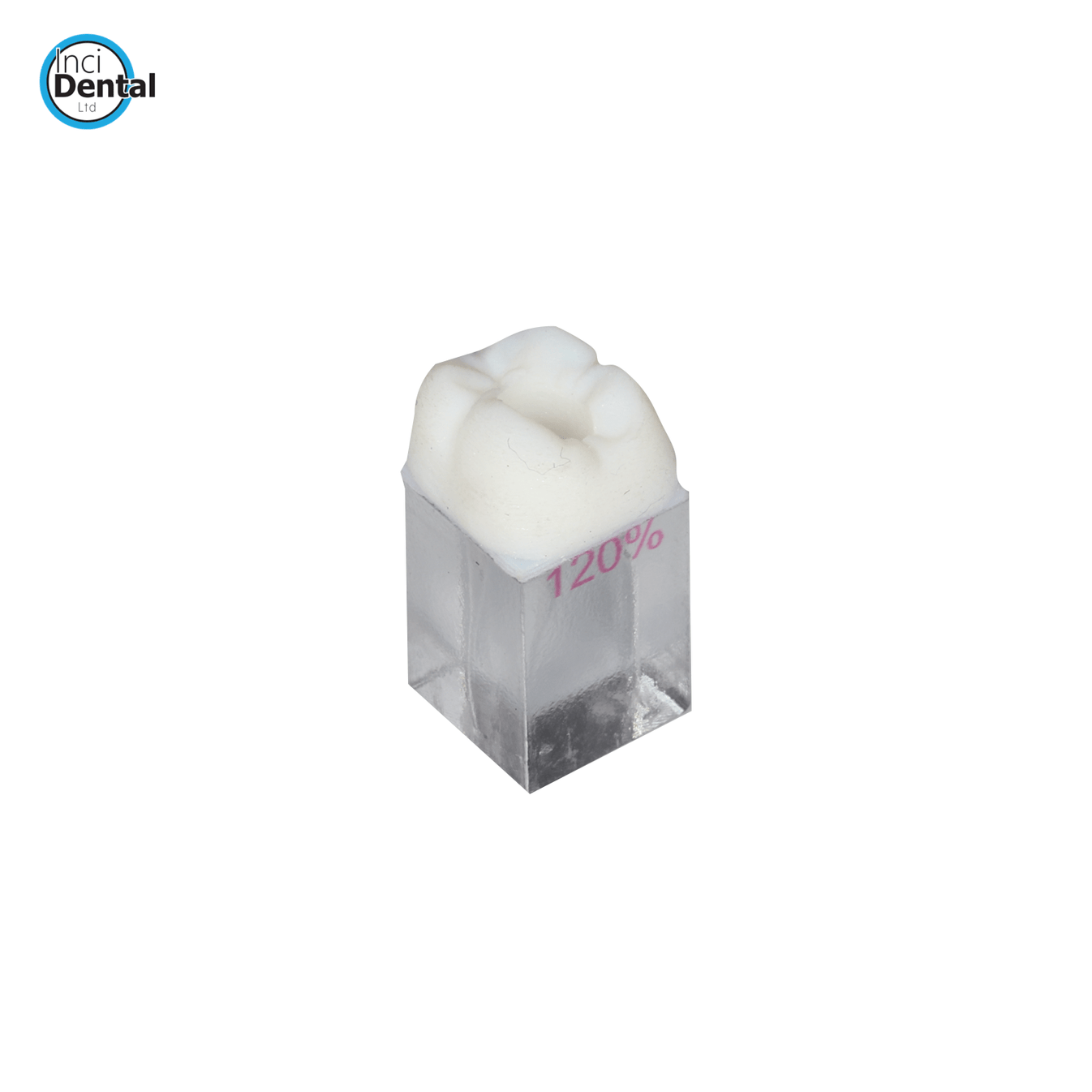 Incidental Endo Training Block